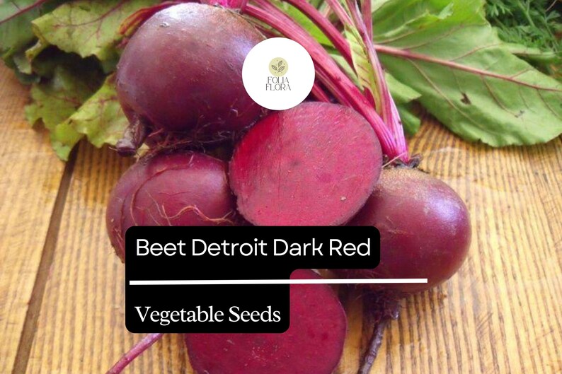 1g Beet Detroit Dark Red Seeds Beta Vulgaris Heirloom Sweet Beets for ...