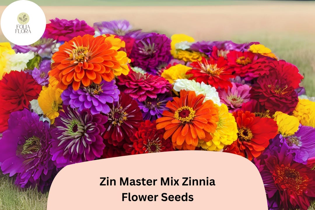 Zin Master Mix Zinnia Seeds: Heirloom Non-gmo Annual Flowers - Etsy