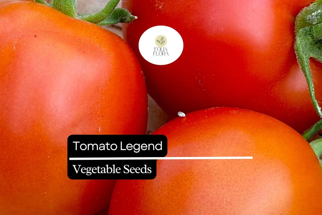 Tomato Legend Seeds 100mg | Solanum Lycopersicum | Non-gmo, Early ...