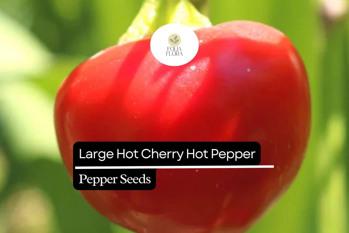 250mg Large Hot Cherry Pepper Seeds Capsicum Annuum Medium-hot, Non-gmo ...