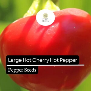 Hot Cherry Pepper Seeds | 250mg, Non-gmo, Capsicum Annuum - Etsy