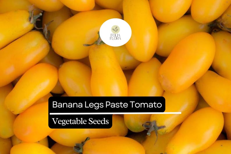Banana Legs Tomato Seeds – Heirloom Yellow Paste Tomato for Sauces - Etsy