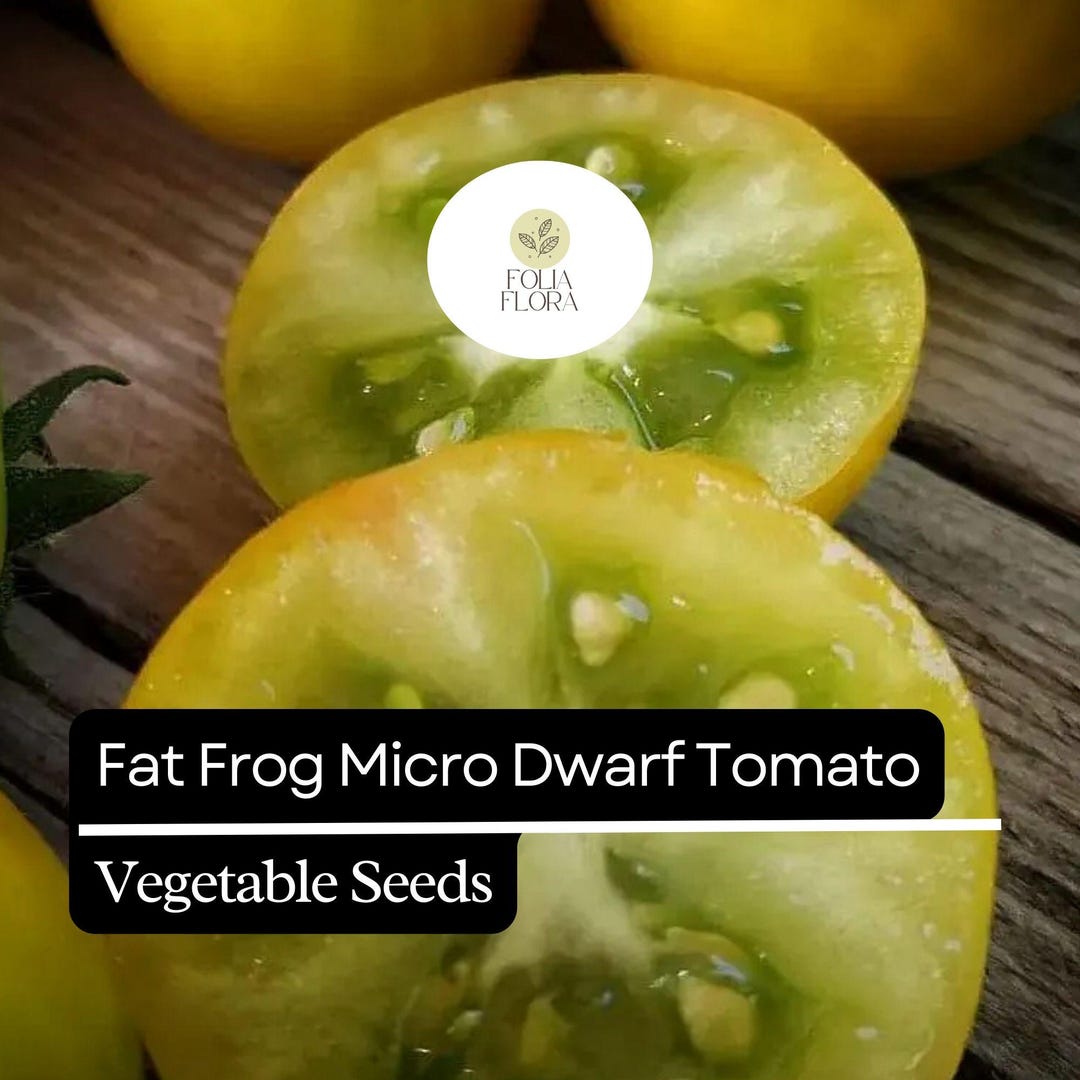 15 Fat Frog Micro Dwarf Tomato Seeds – Heirloom, Non-gmo, Compact ...