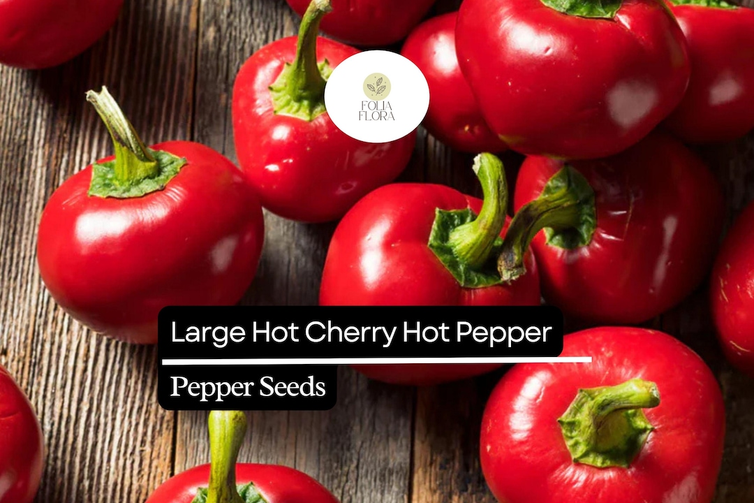 250mg Large Hot Cherry Pepper Seeds Capsicum Annuum | Medium-hot, Non ...