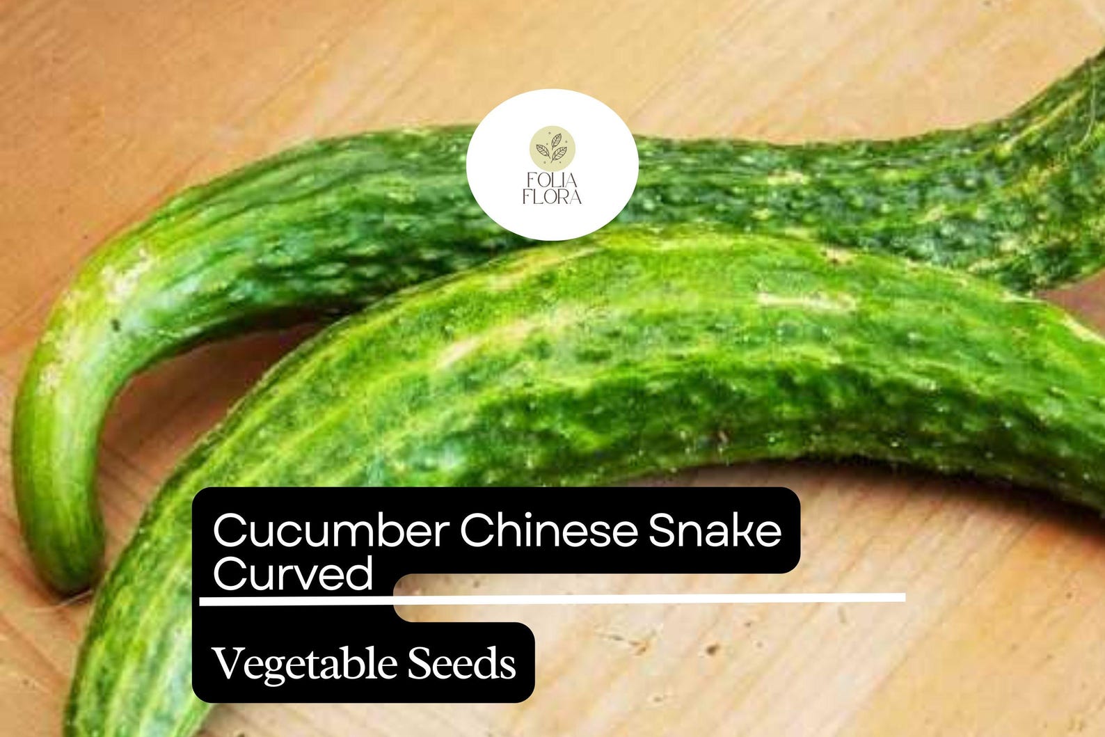 10 Seeds Cucumber Chinese Snake Curved | Cucumis Sativus | Heirloom ...