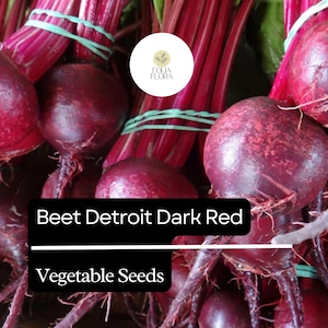 1g Beet Detroit Dark Red Seeds Beta Vulgaris | Heirloom Sweet Beets for ...