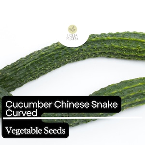 10 Seeds Cucumber Chinese Snake Curved | Cucumis Sativus | Heirloom ...