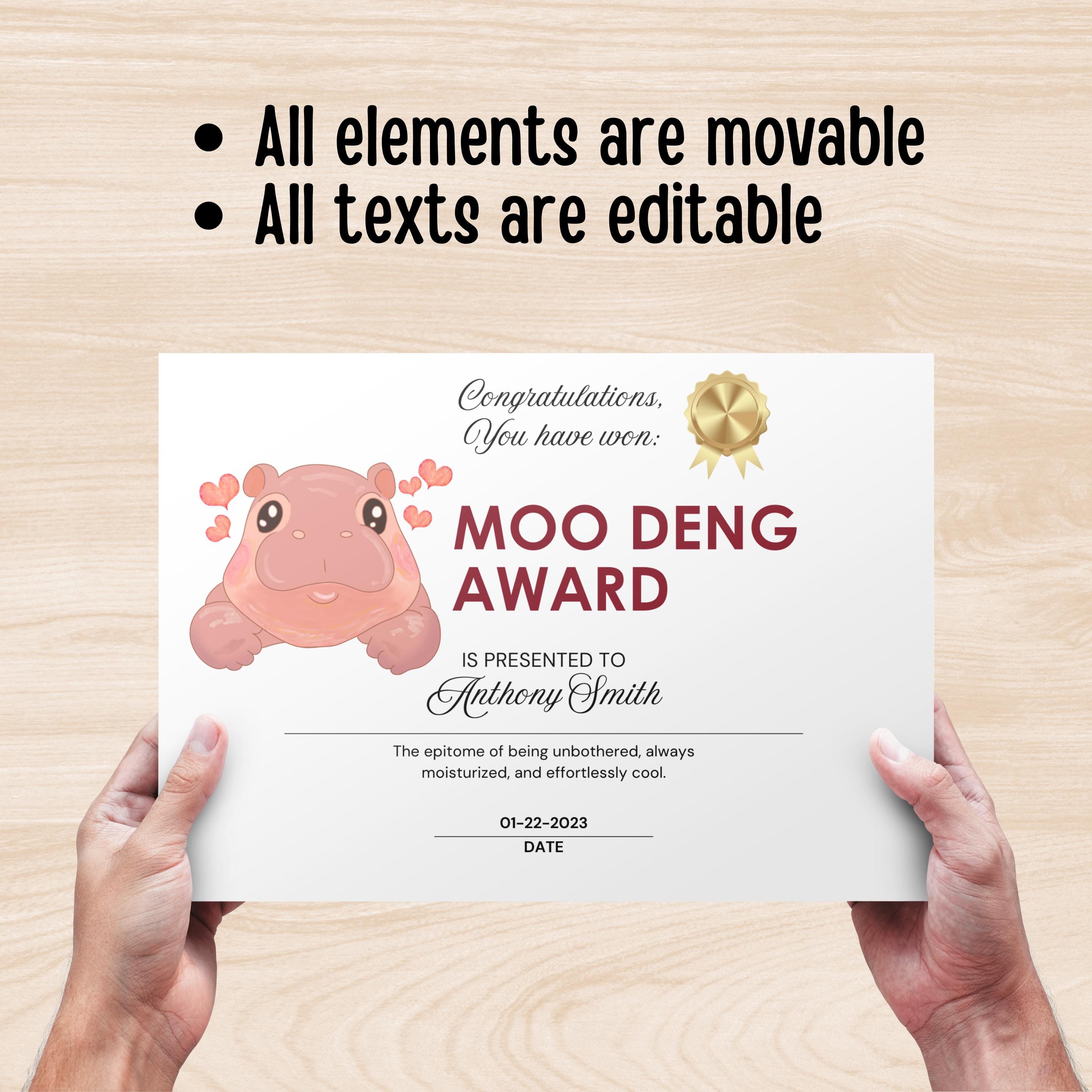 Funny Employee Recognition Awards: Editable Office Superlative ...