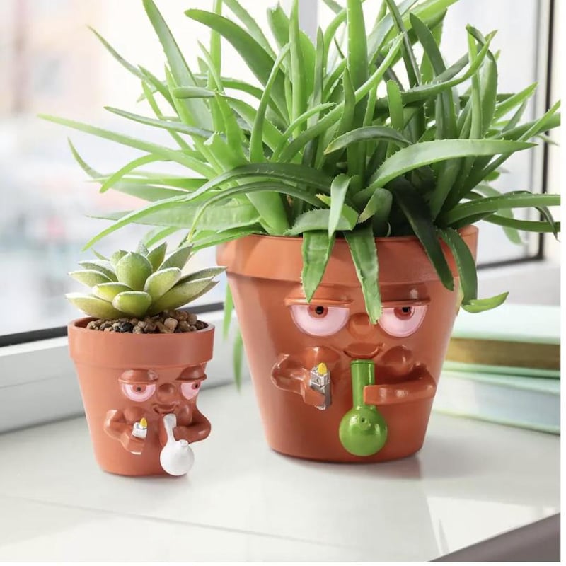 Funny Plant Pot - Etsy