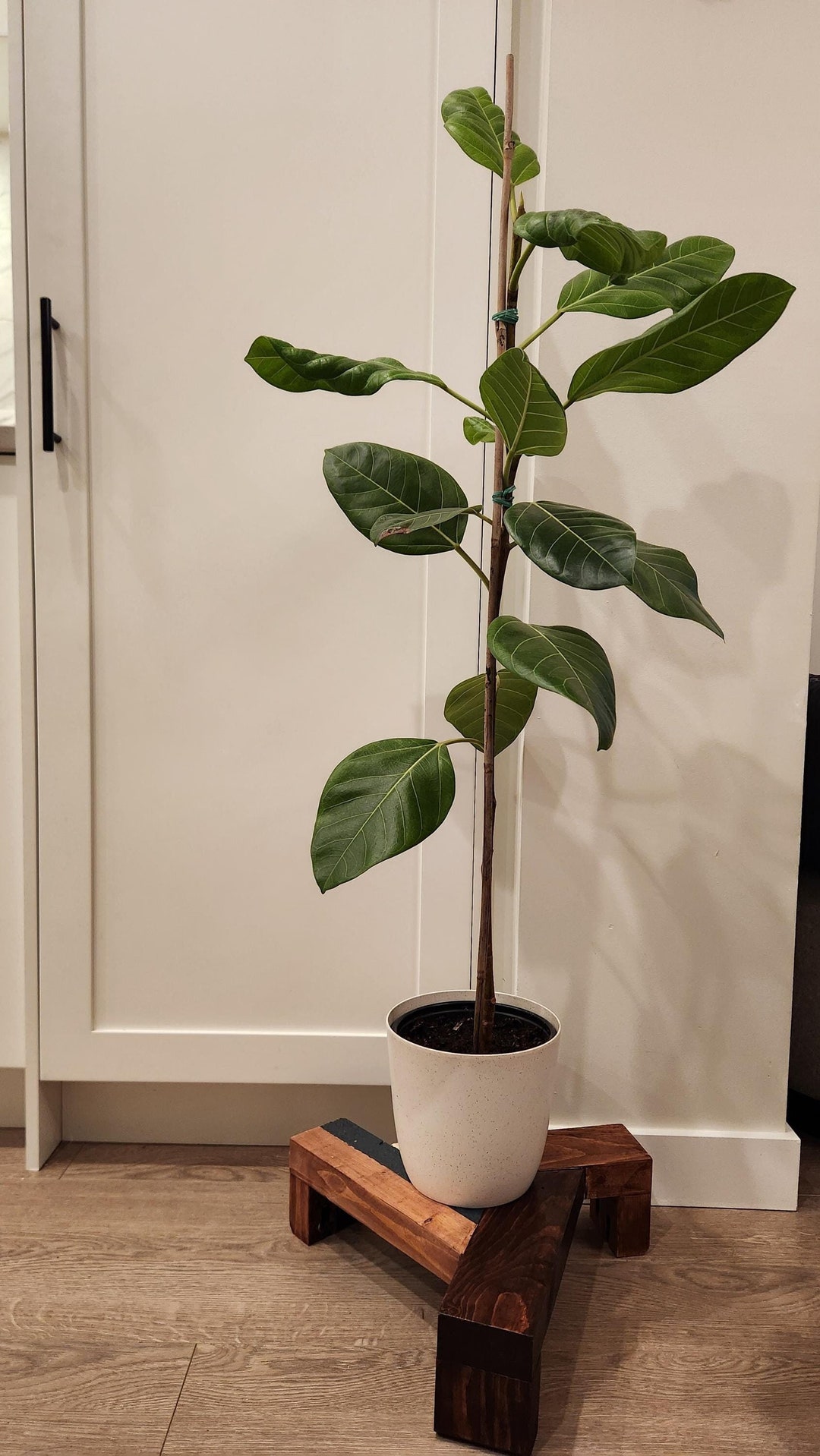 Sturdy Wooden Plant Stand Triangular Base Indoor Plant Stand, Rustic ...