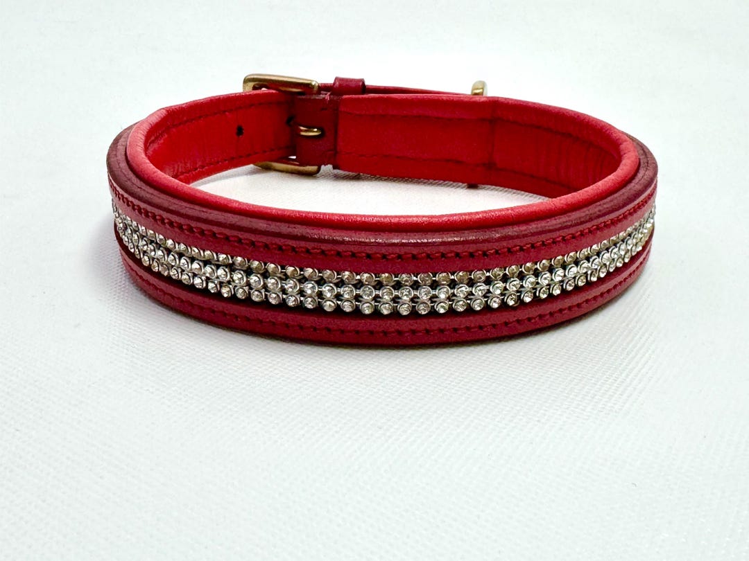 Red Leather Rhinestone Dog Collar and Leash - Etsy