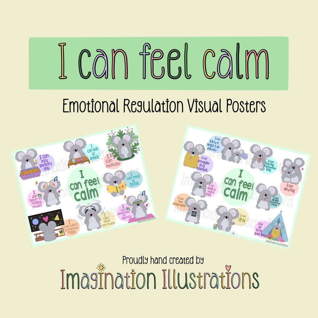 Emotional Regulation Visual Posters- Kohala the Koala - Etsy