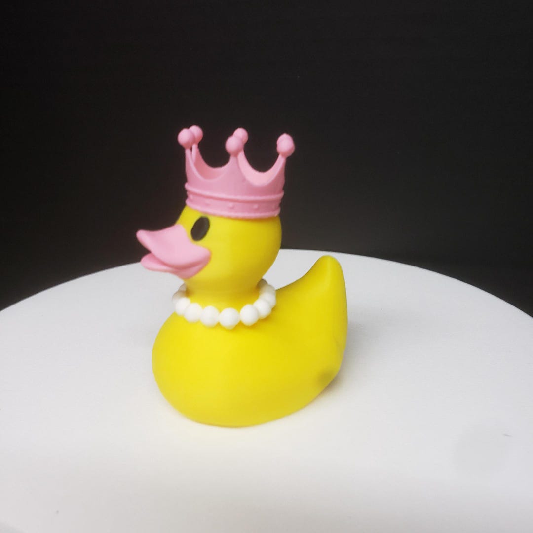 Princess Duck or Pavement Princess - Etsy