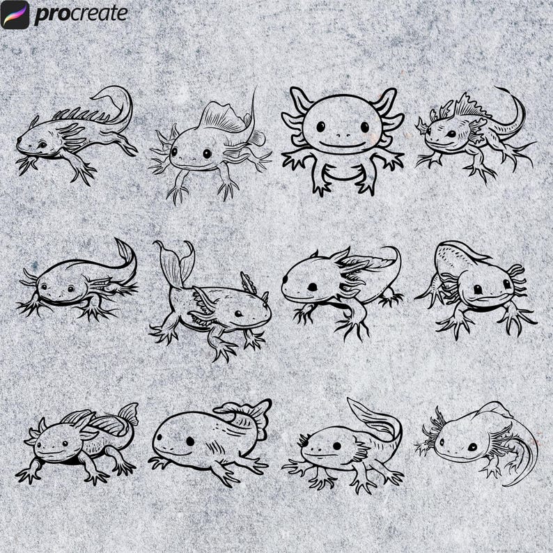 Axolotl Procreate Stamps, Procreate Brushes and Stamps, Axolotl Tattoo ...