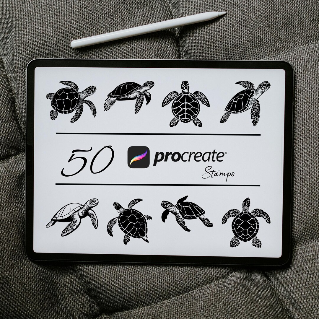 Turtle Procreate Stamps: Ocean Sea Life Line Art Brushes (digital Download) - Etsy