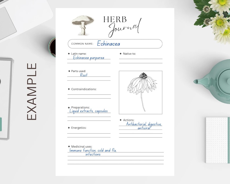 Herb Journal PDF Printable Learning Herbalism - Etsy