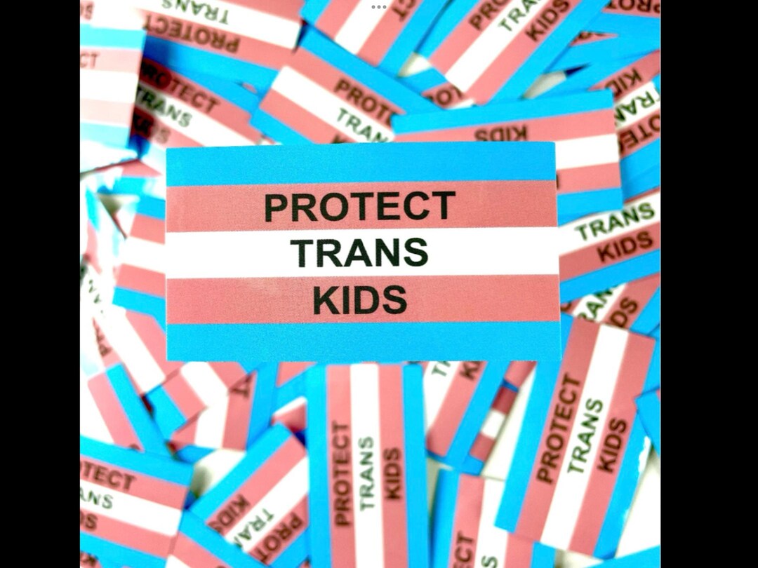 3-inch ‘protect Trans Kids’ Sticker - Etsy