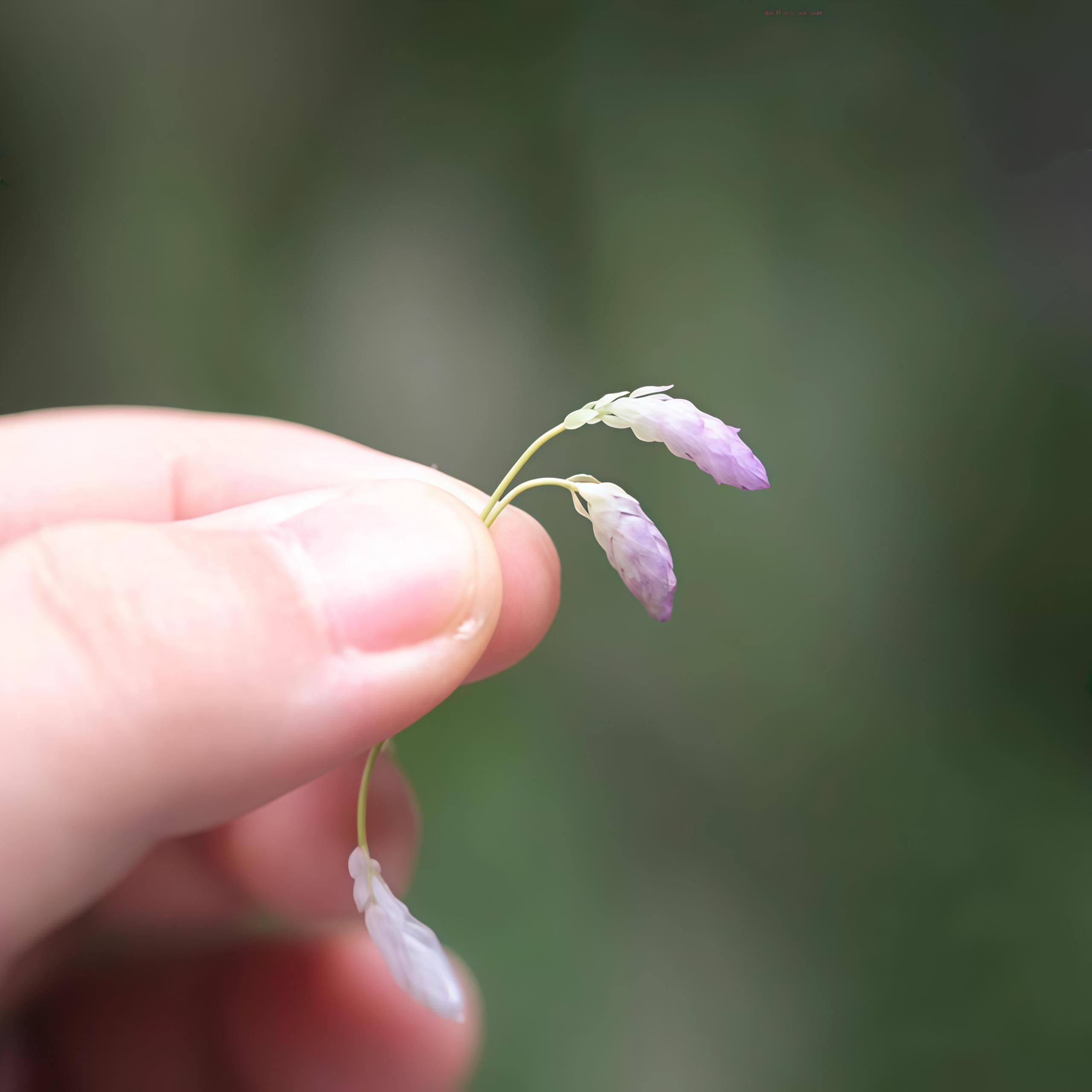 Miniature Wisteria Flower Molds, Suitable for 1/12 and 1/6 Scale ...