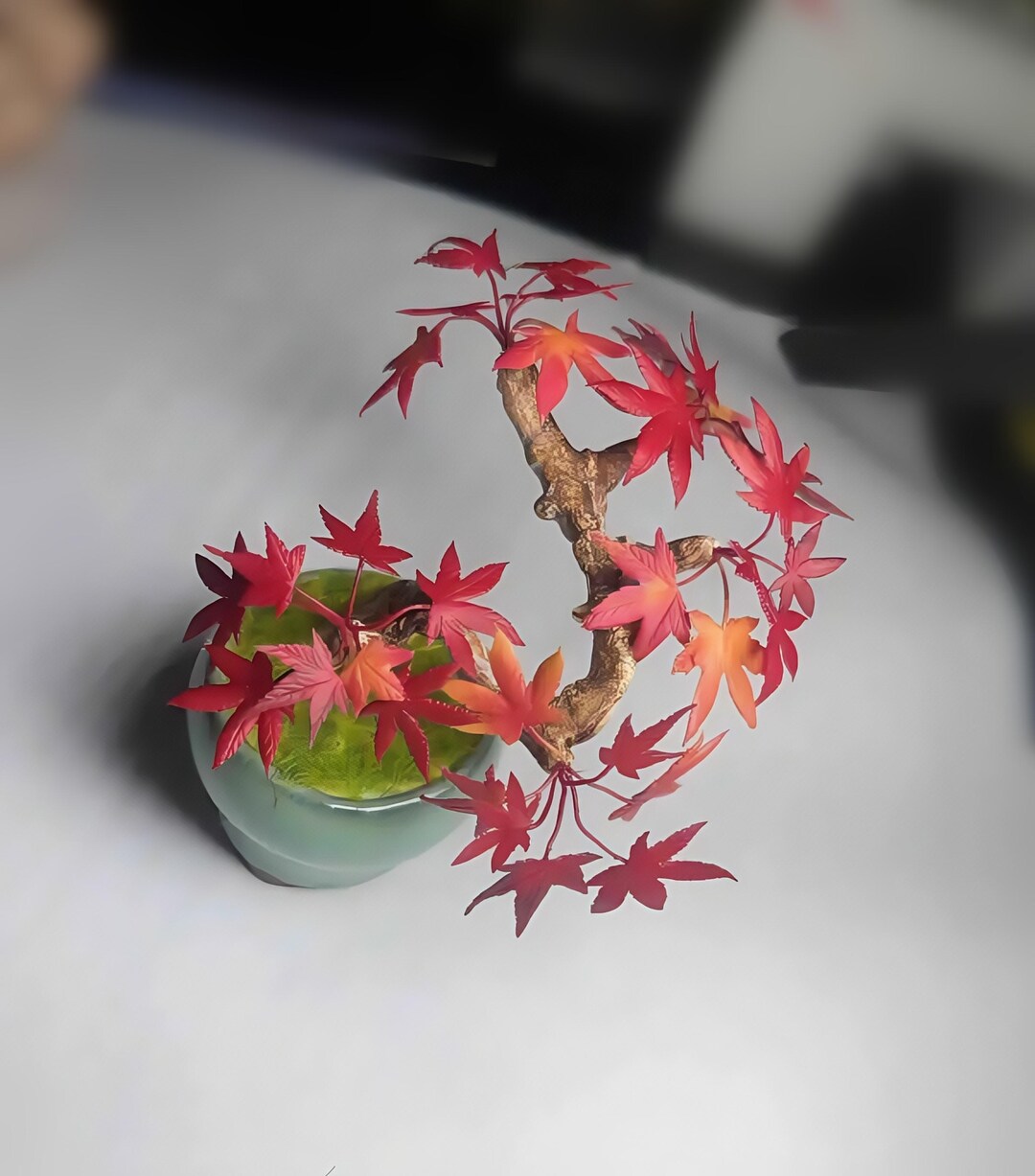 Miniature Maple Leaf and Trident Maple Molds, Suitable for 1/12 and 1/6 ...