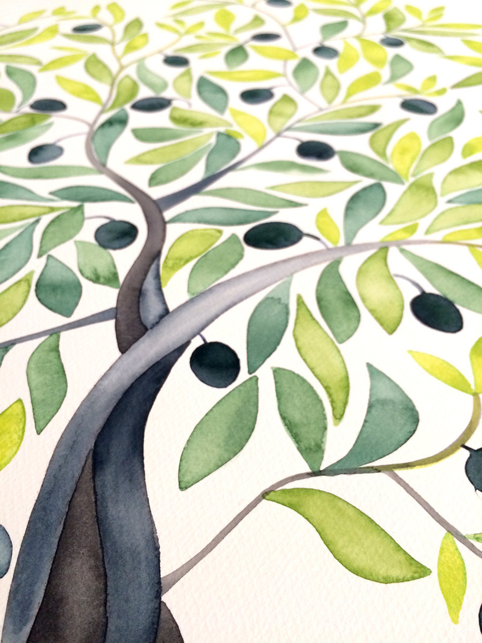 Watercolor Guest Book Olive Tree, Custom Mediterranean Greenery Wedding ...