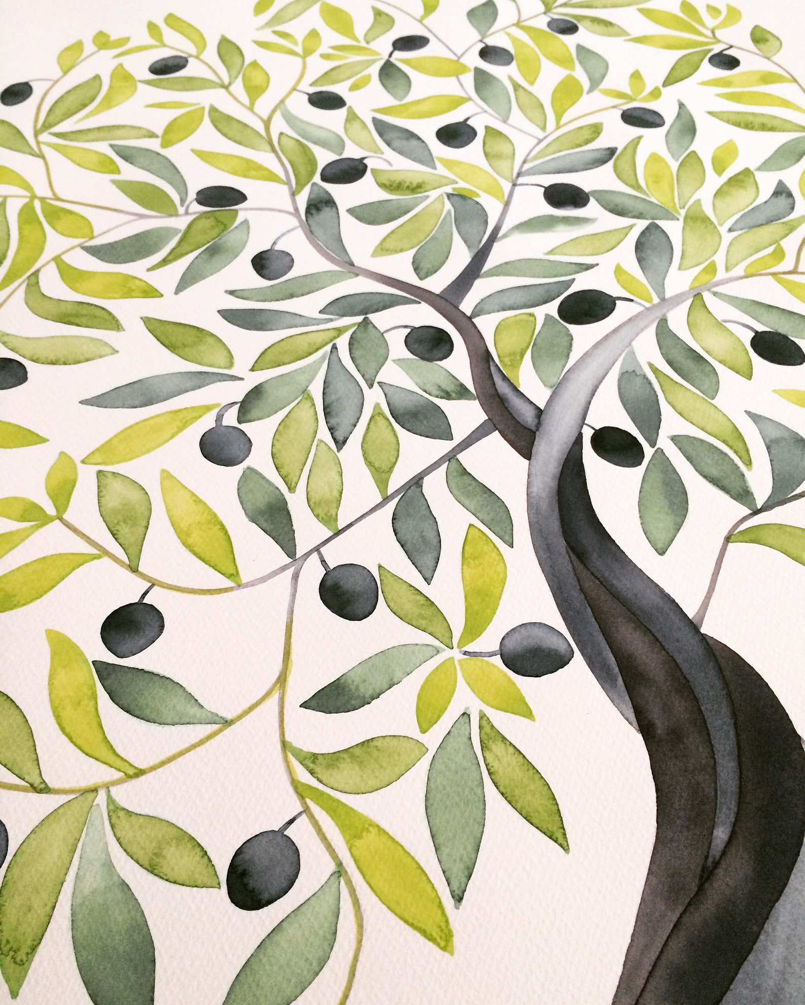 Watercolor Guest Book Olive Tree, Custom Mediterranean Greenery Wedding ...