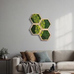Hexagon Wall Moss Decor, Preserved Moss Art Framed, Honeycomb Wood and ...