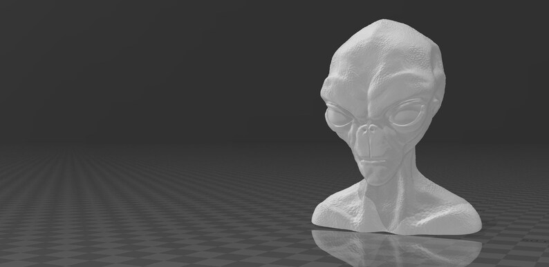 Grey Alien Bust STL File 3D Printable Model - Etsy