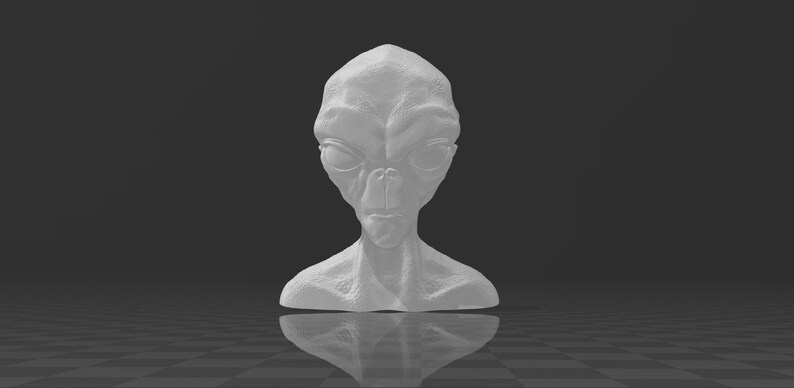 Grey Alien Bust STL File 3D Printable Model - Etsy