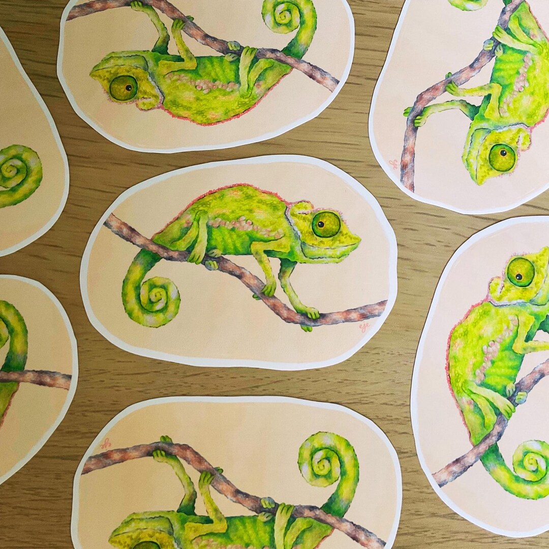 Chameleon Vinyl Sticker | Vinyl Sticker | Kindle Sticker | Laptop Decal ...