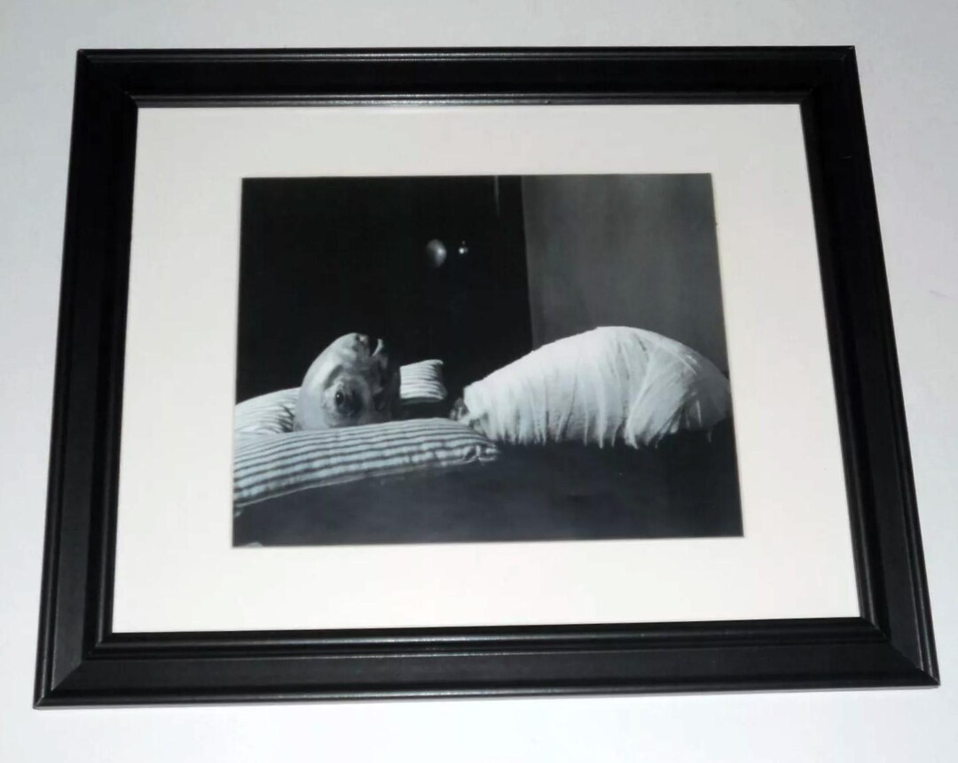 Framed David Lynch Eraserhead "creature" Cult B/W Print in Glass Frame ...