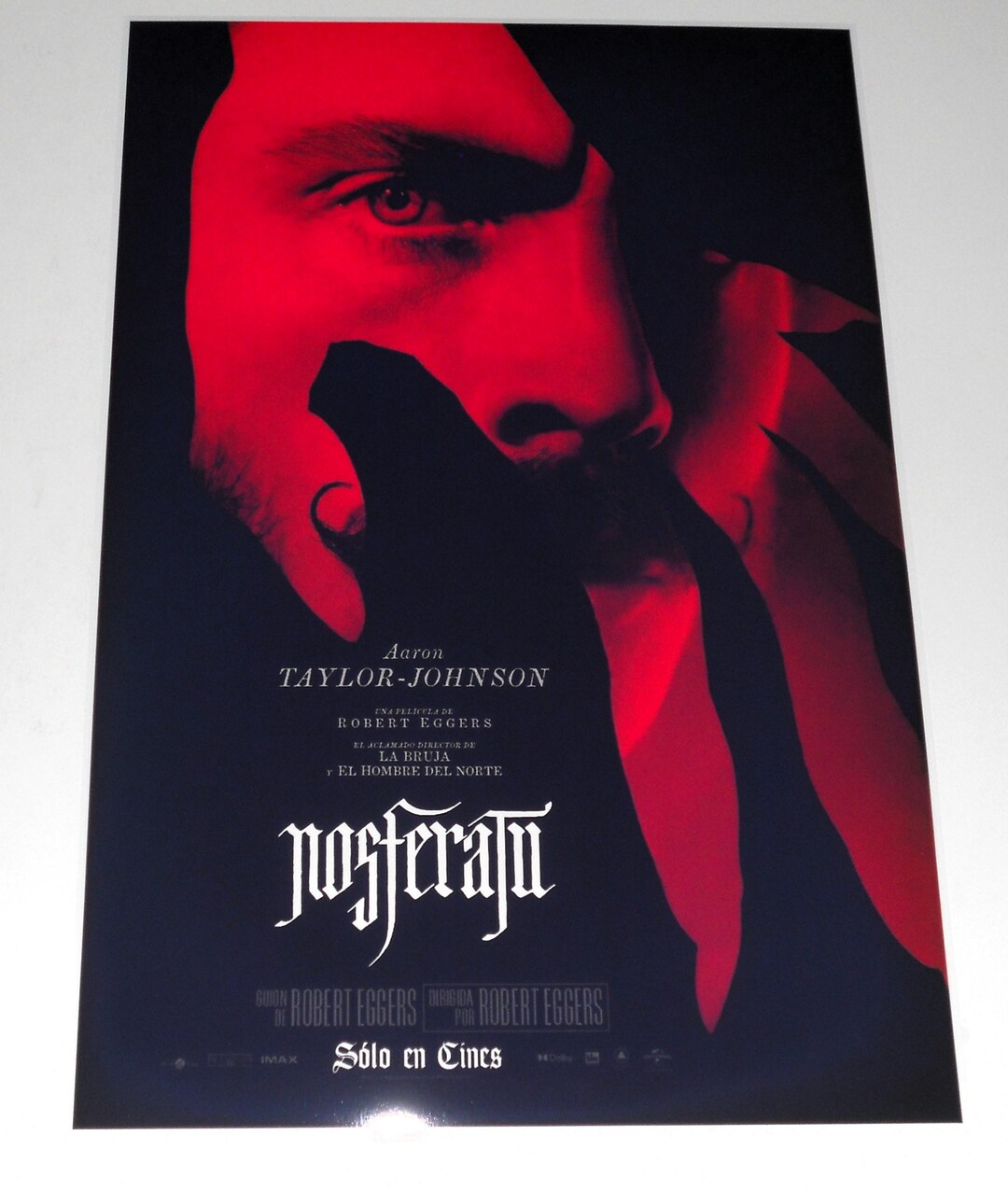 NOSFERATU Robert Eggers Bill Skarsgard 2024 Film Poster 19x13 Vampire Film 2 - Etsy