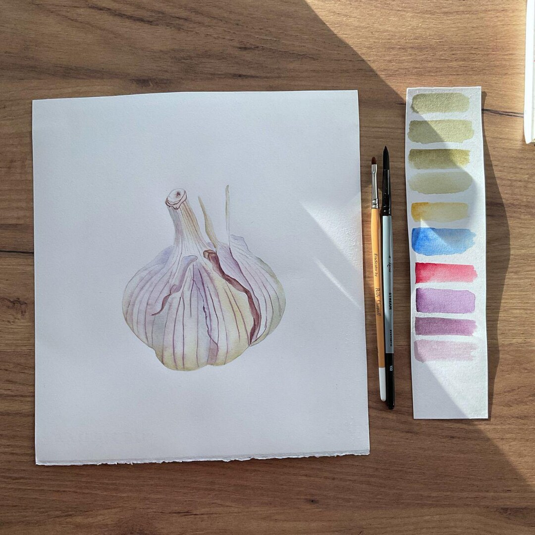 Watercolor Painting Garlic, Garlic Painting, Original Watercolor ...