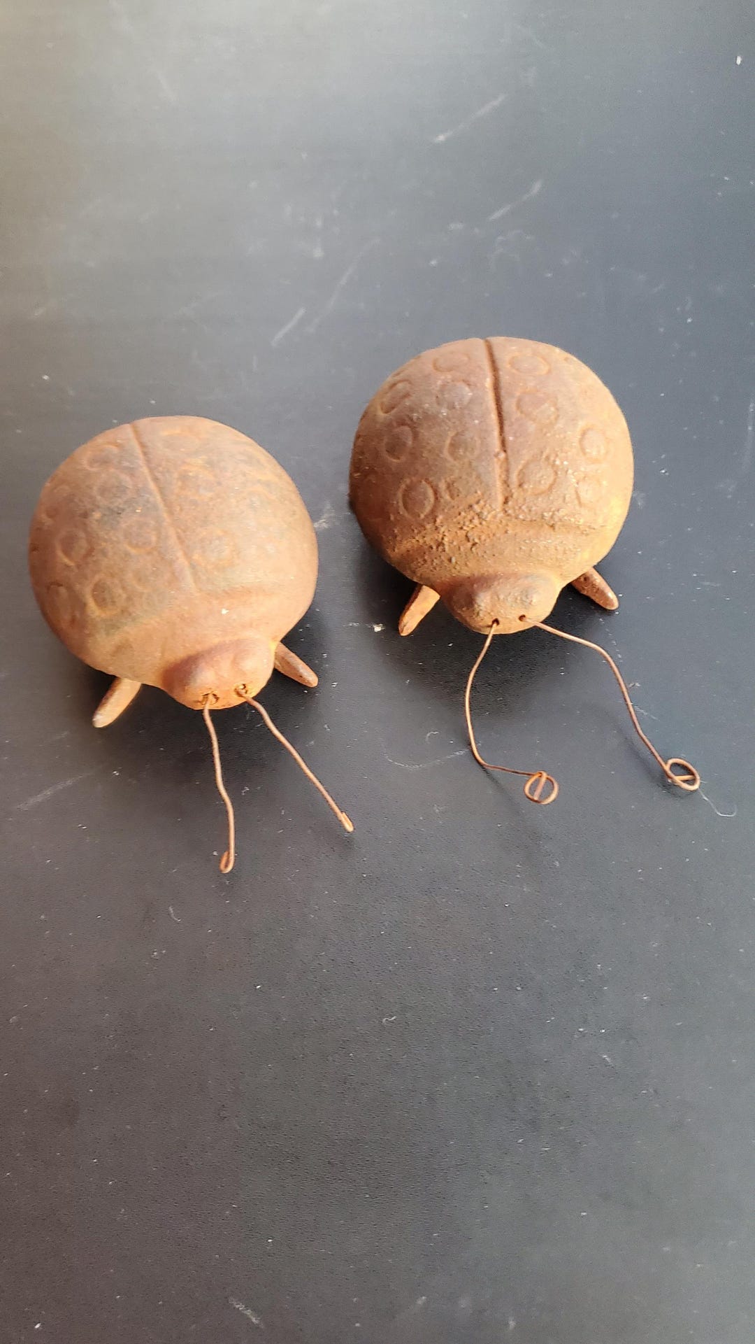 1 Pair of Cute Vintage Cast Iron Garden Ladybugs - Etsy