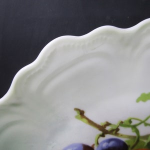 Z S & Co. Still Life Plate 10" Bavaria/german Wall Grouping Plate Zeh ...