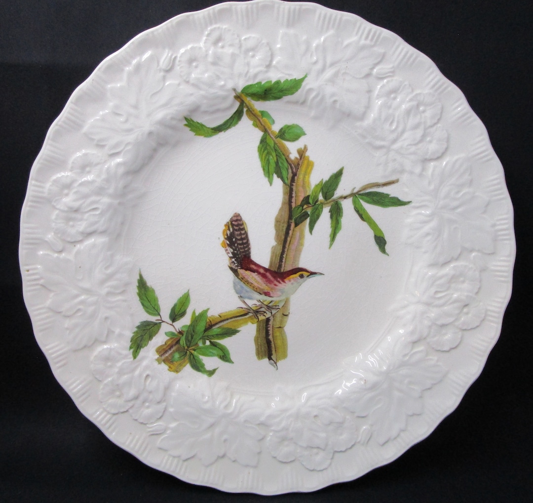 Alfred Meakin White "belwicki's Wren" Plate, Audubon's Birds of America ...