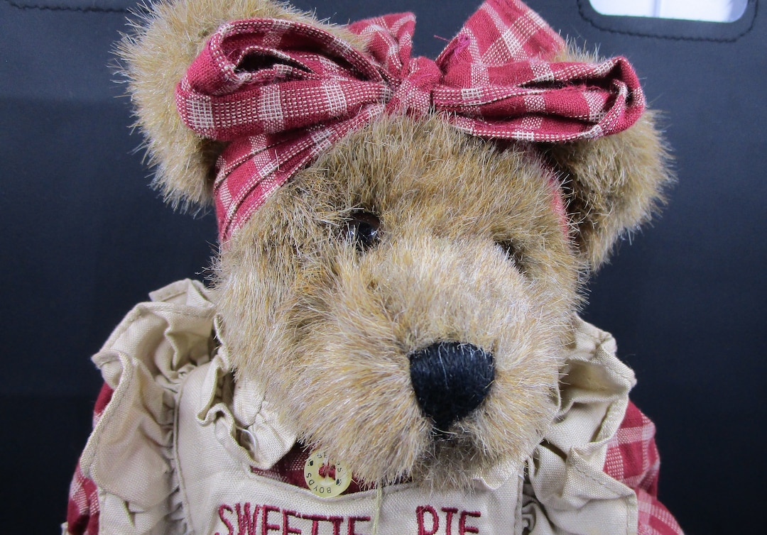 Boyds Bears AUNT BECKY Bearchild 12 Plush 912052 1998 Sweetie Pie ...