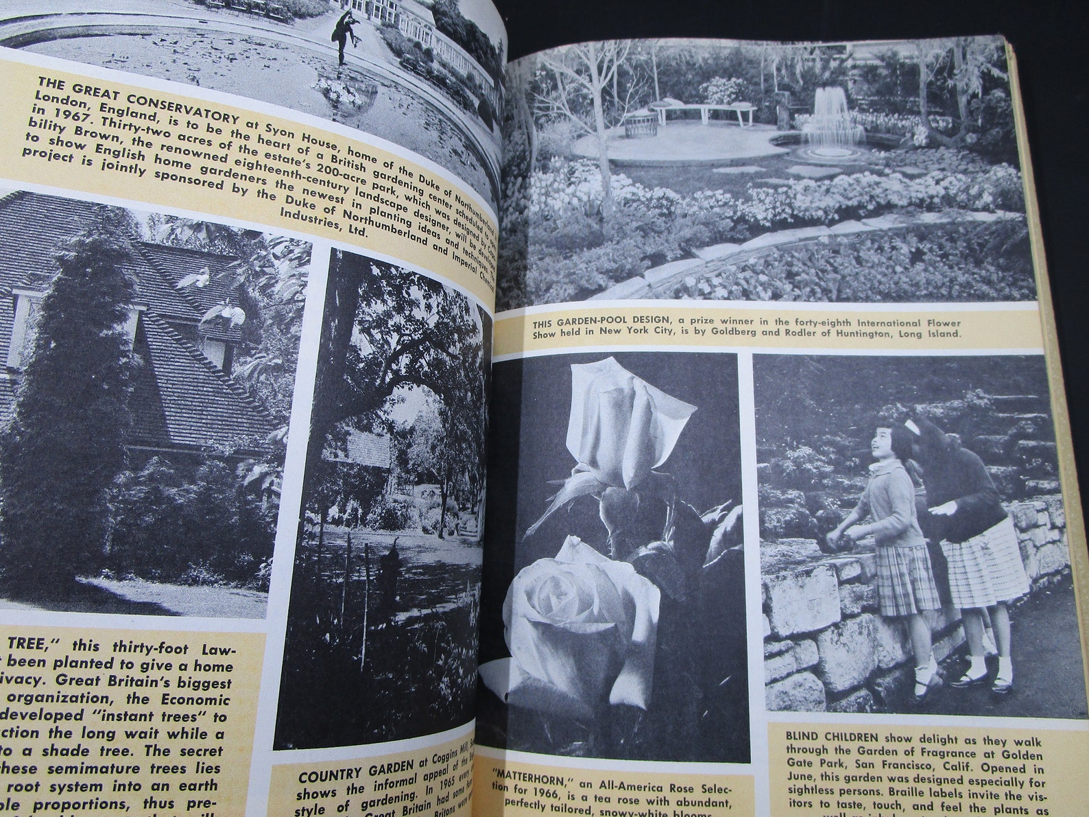 1966 World Topics Year Book, Covers 1965 World Events, Educational Book ...