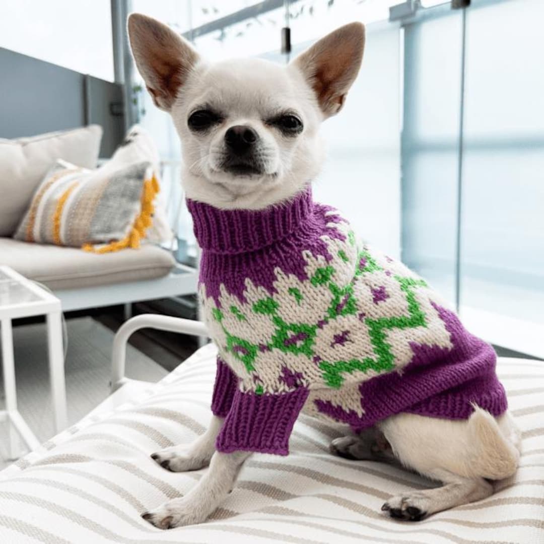 Chihuahua Dog Sweater Knitting Pattern PDF Cute Carved Pumpkin Ideas ...