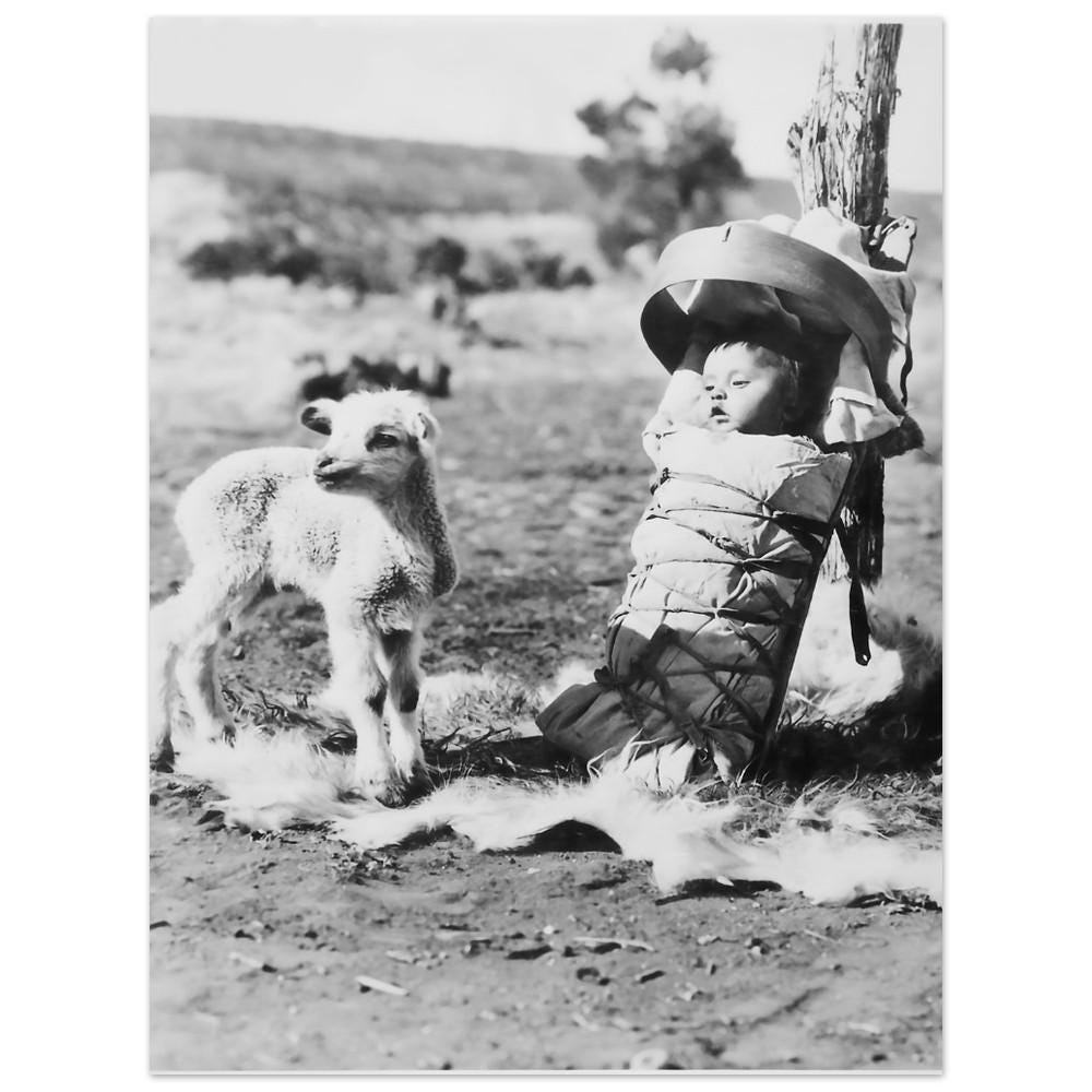 Navajo Cradleboard and Sheep Traditional Vintage Photograph - Etsy