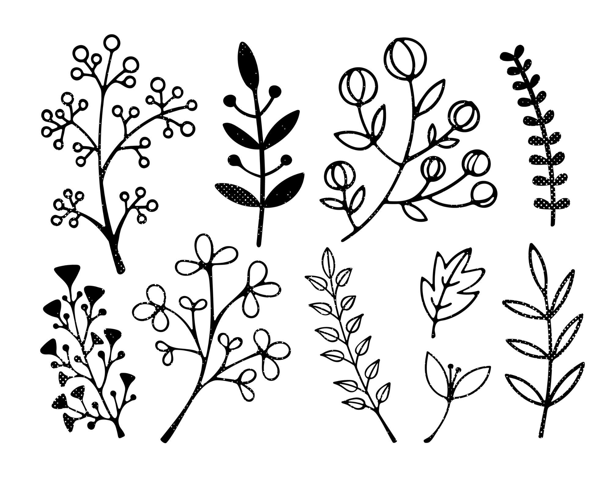 Leaves SVG Bundle, Svg and Png, Leaf Bundle, Leaf Svg Bundle, Leaf ...