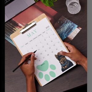 2025 Calendar Printable 2025 Calendar 2025 Wall Calendar 2025 Printable ...