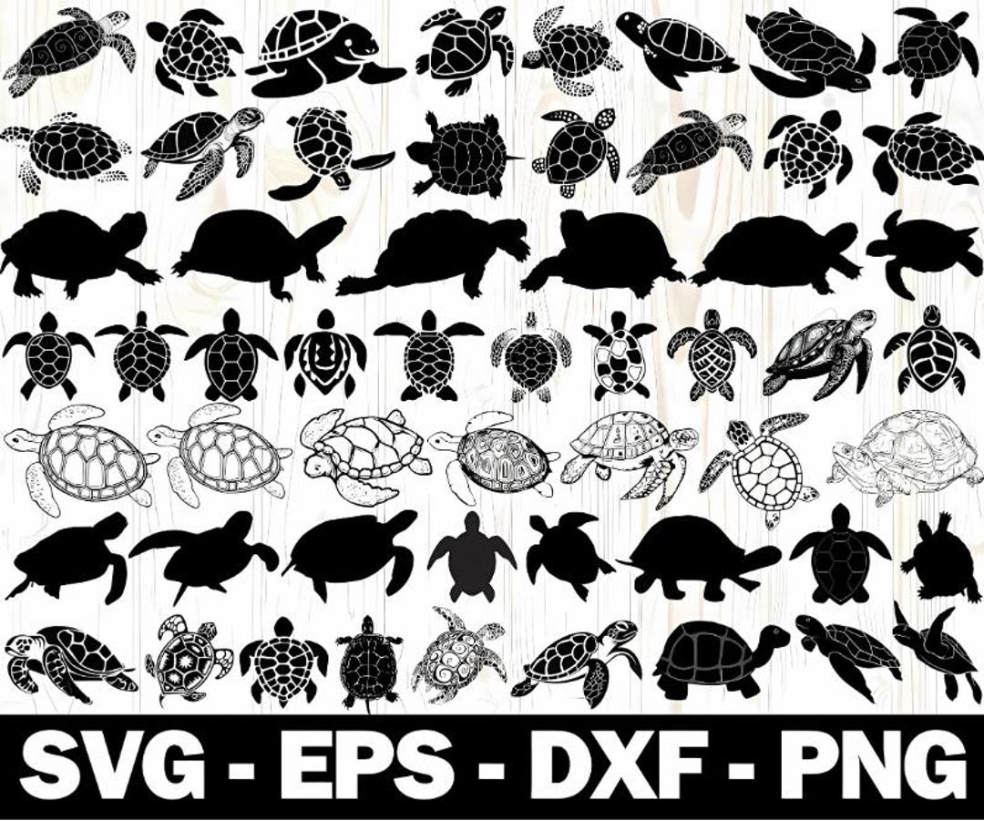 Turtle SVG Bundle: Sea Turtle Cut Files & Clipart (digital Download) - Etsy
