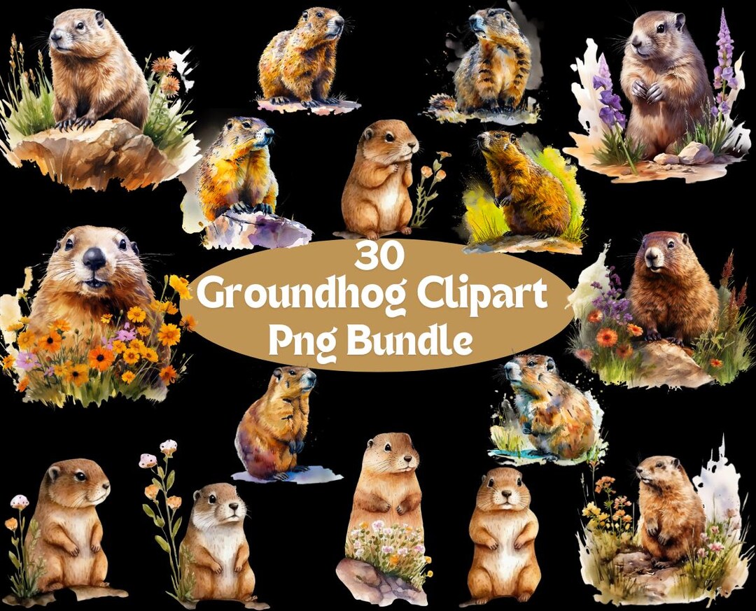 Groundhog Watercolor Clipart Bundle, Adorable Cute Groundhog, Groundhog ...