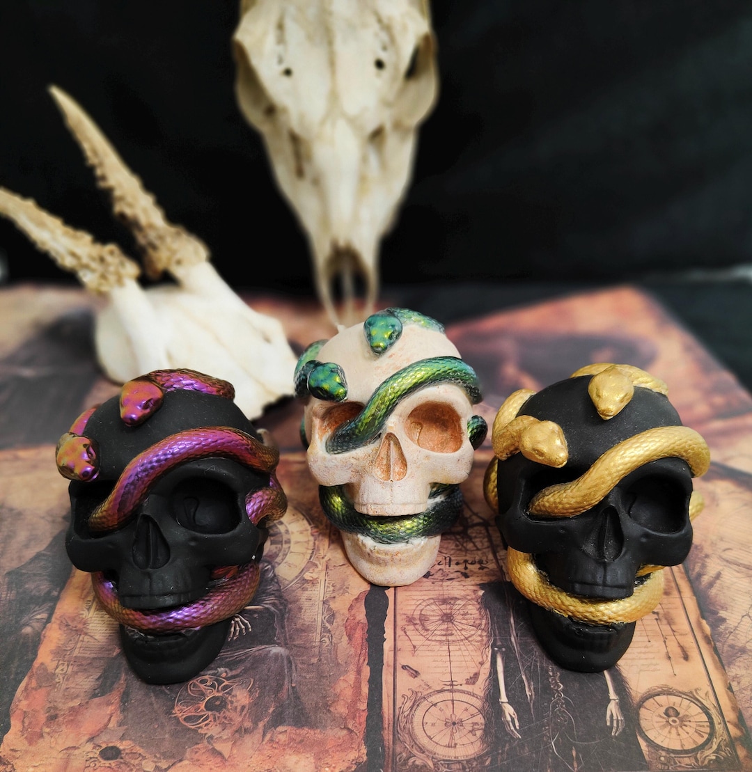 Gothic Statue Skull With Snakes - Etsy