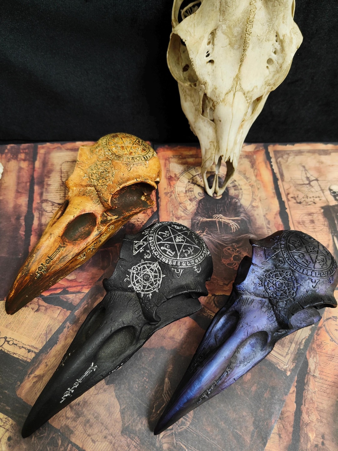 Resin Raven Skull - Gothic and Esoteric Decoration - Amulet of ...