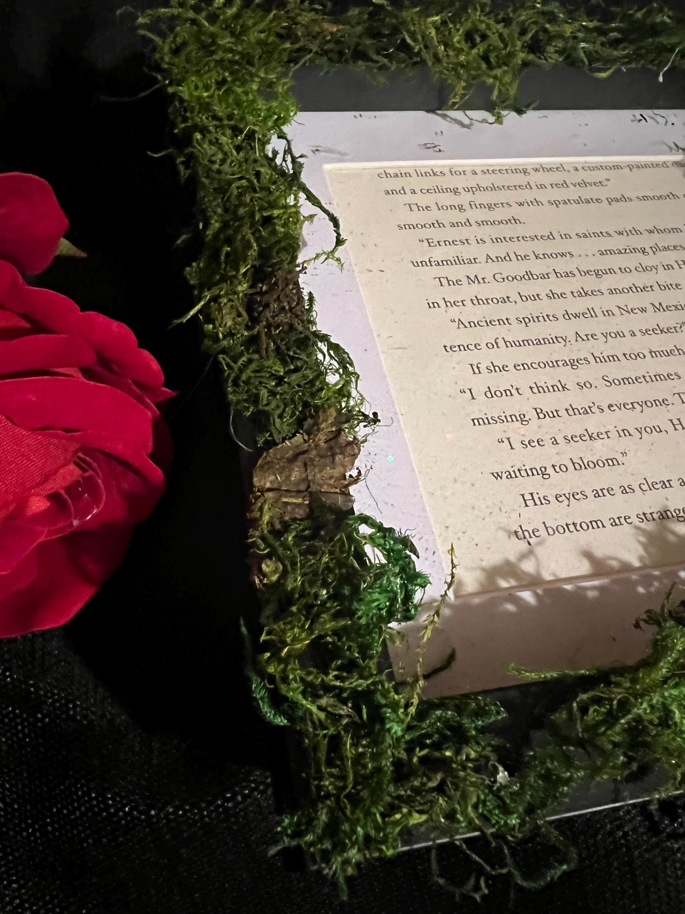 Moss Picture Frame (medium) - Etsy