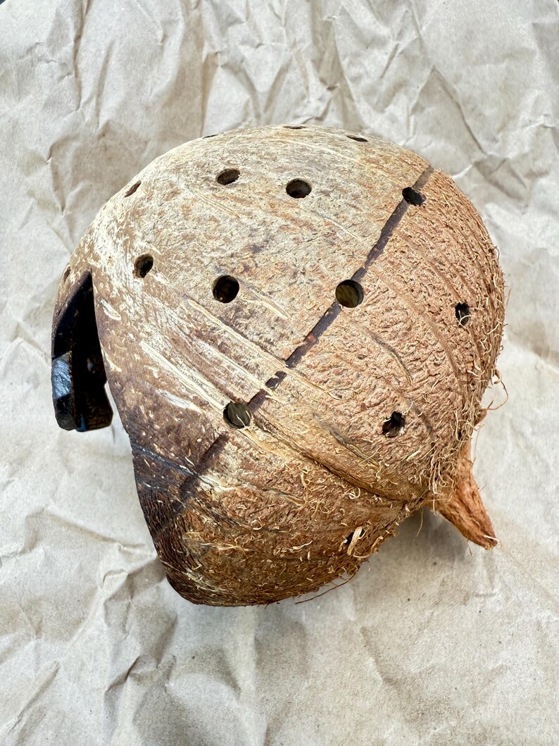 Hermit Crab Hideout Hut – Coconut Shell Cave for Geckos, Tree Frogs ...