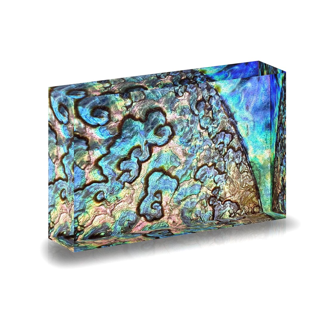 Abalone Shell Design: Polished Block Display - Etsy