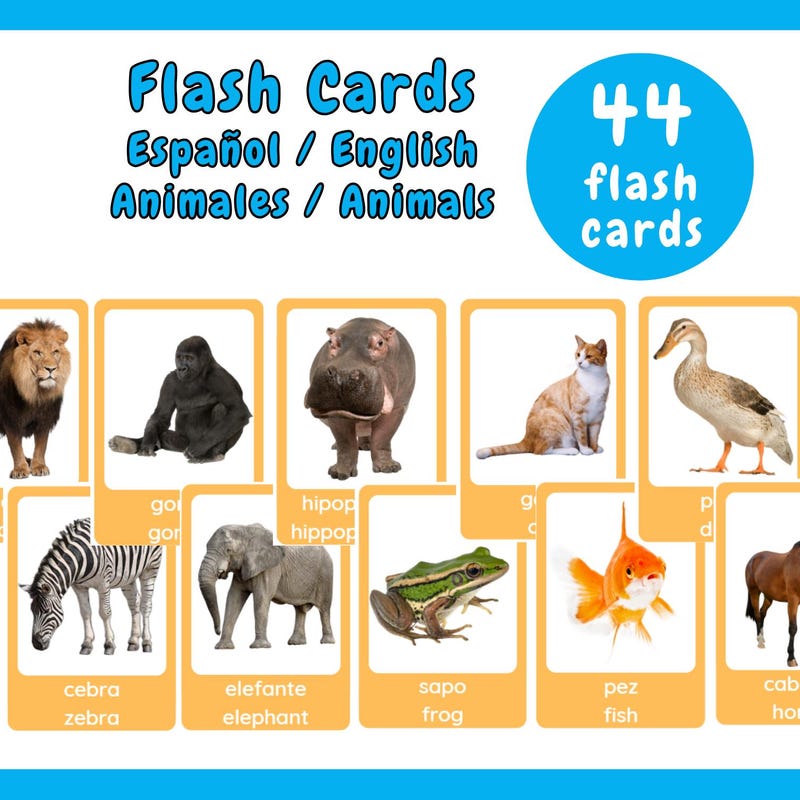 Animal Flash Cards - Etsy
