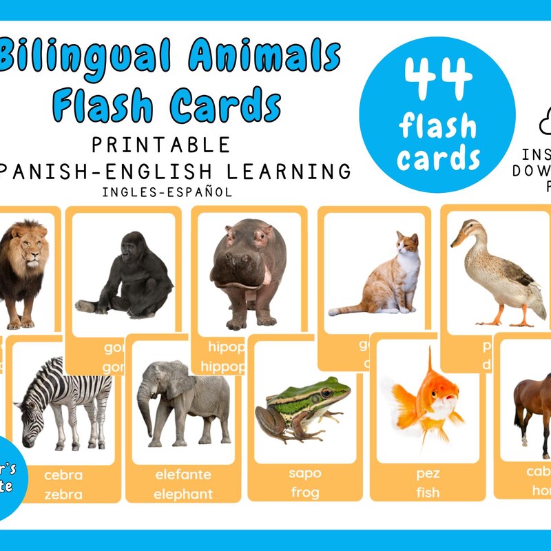 Animal Flash Cards - Etsy